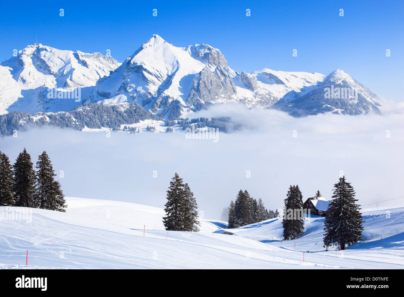 In 2502 ms, Alps, Alpstein, Alpstein area, Altmann, Appenzell, view ...