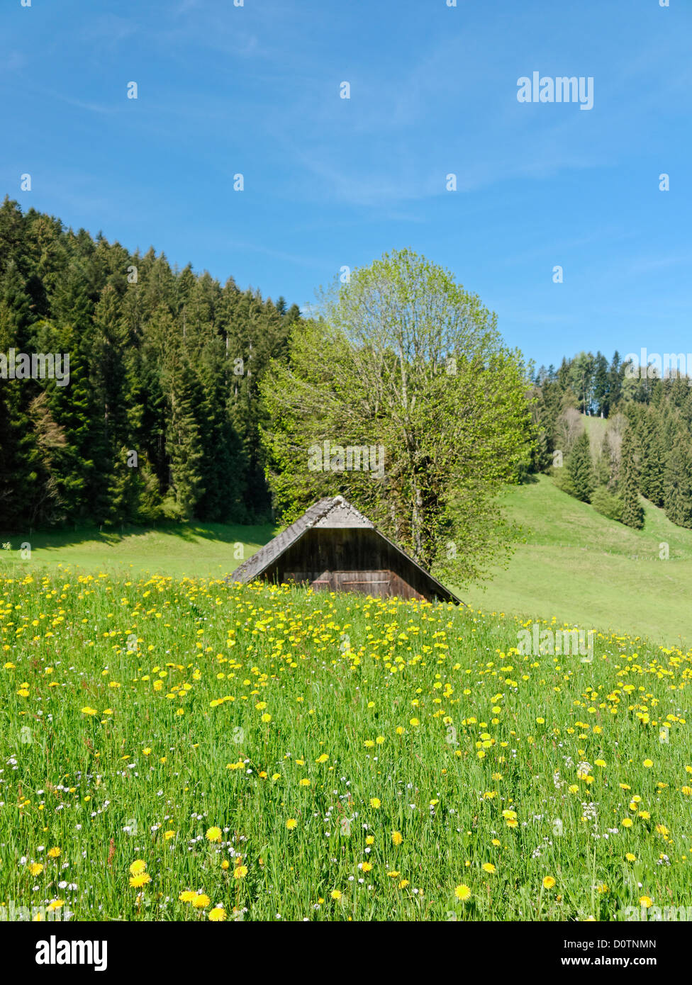 Spring barn hi-res stock photography and images - Alamy