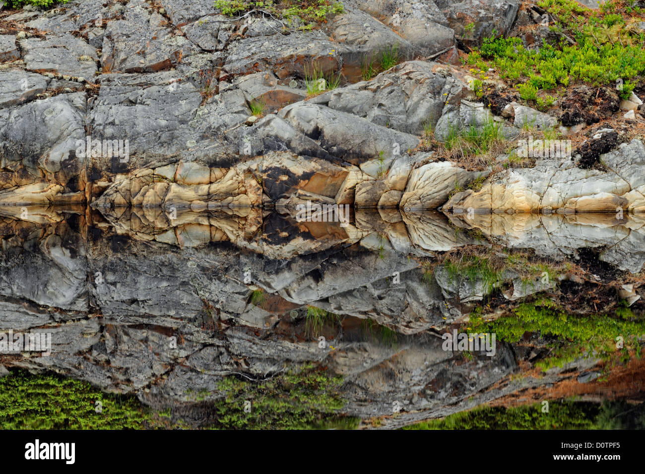 Rock outcrops reflected in a small pond, near Whitefish Falls, Ontario ...