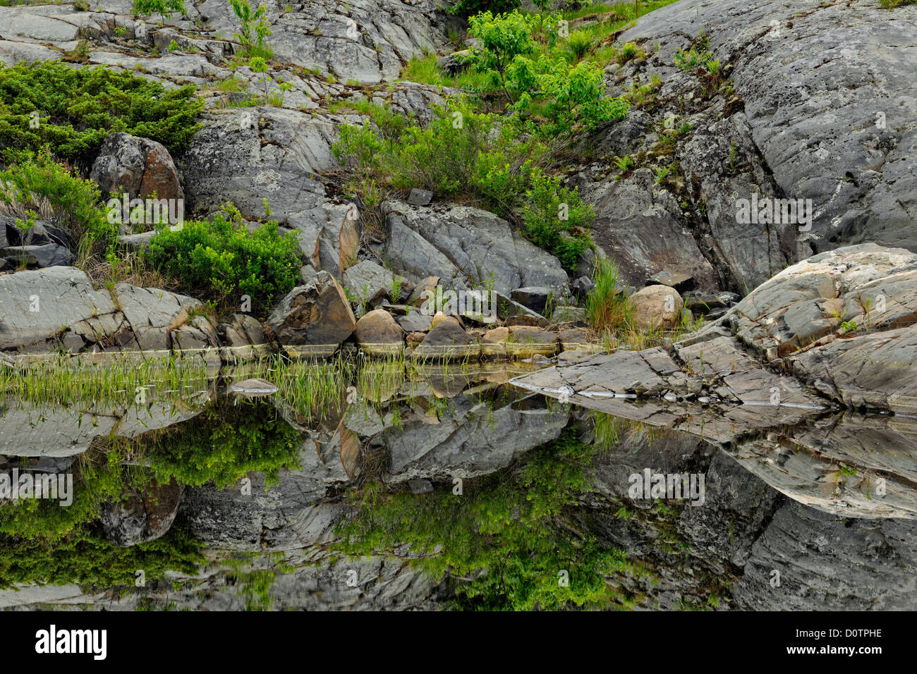 Georgian bay rock outcrops hi-res stock photography and images - Alamy