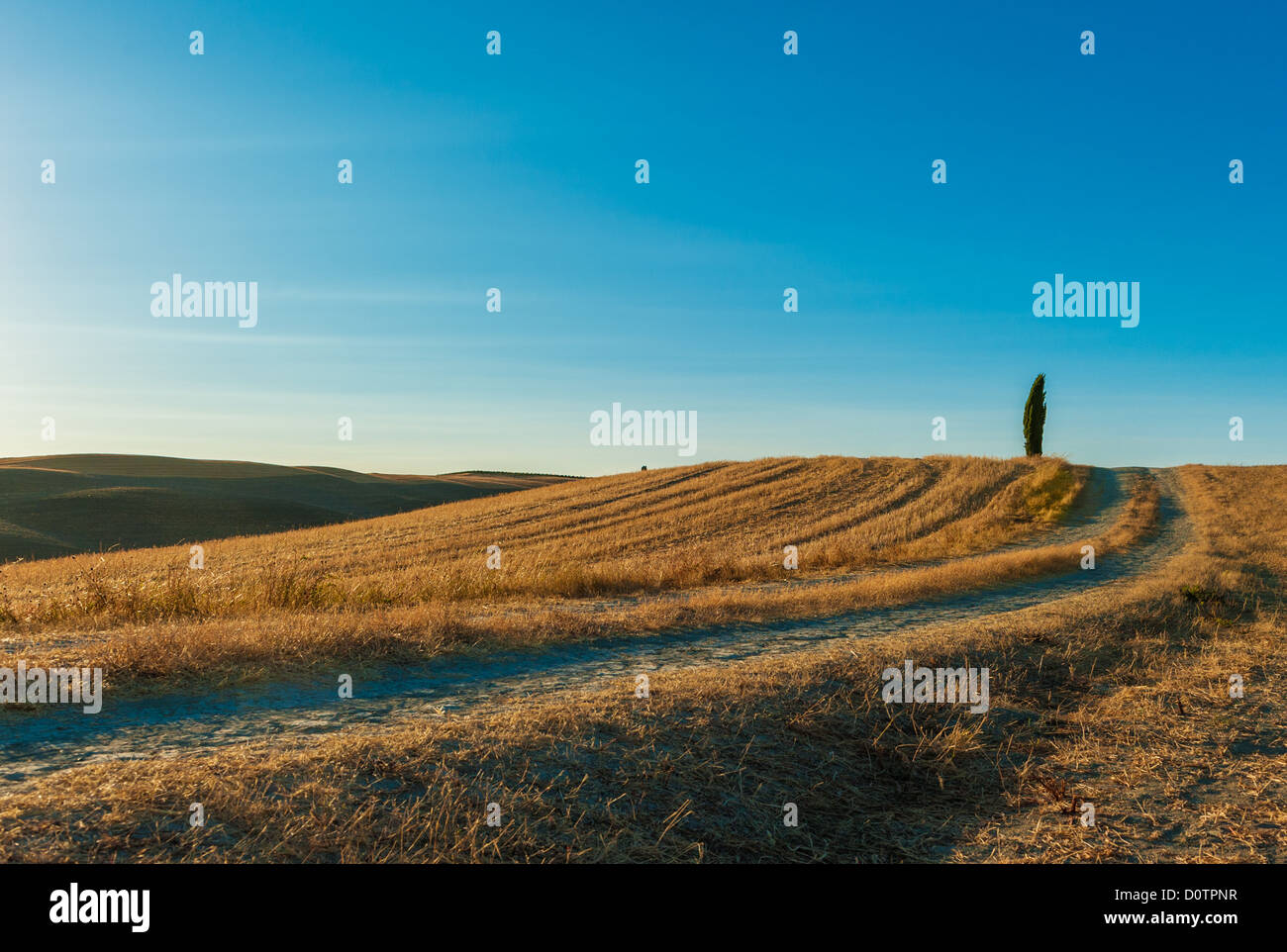 typical tuscan landscape Stock Photo - Alamy