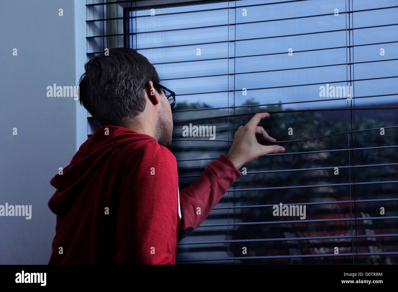 Window Blind Glasses