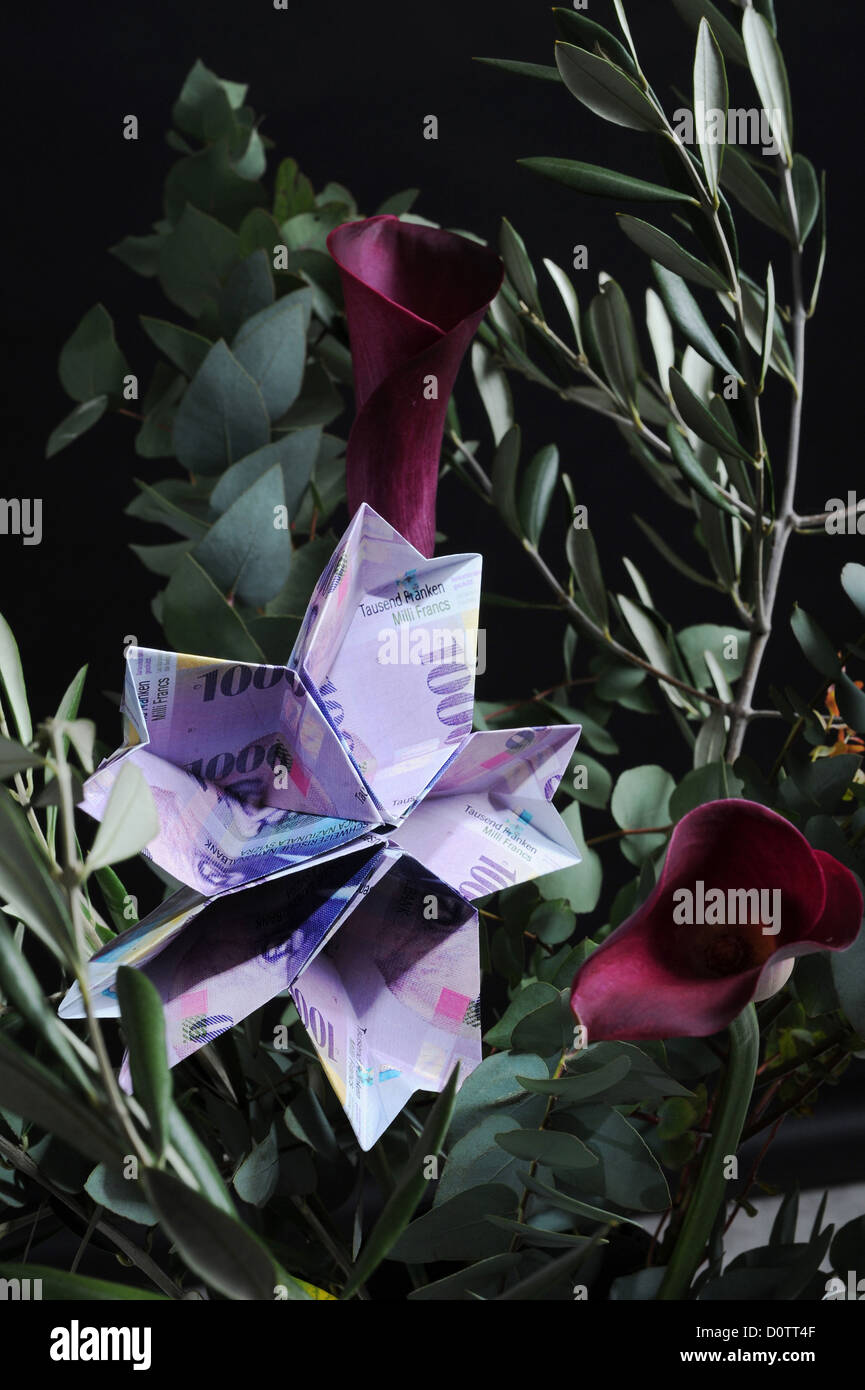 Flowers, origami, notes, money, growth, prosper, grow, Swiss franc ...