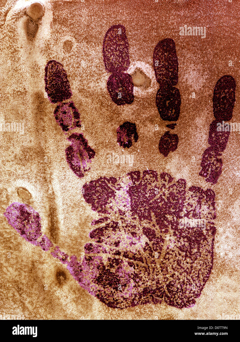 Palm print id personal identification identity hand red security ...