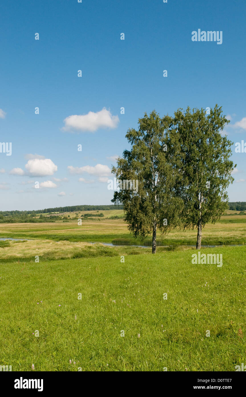 rural landscape with two trees Stock Photo - Alamy