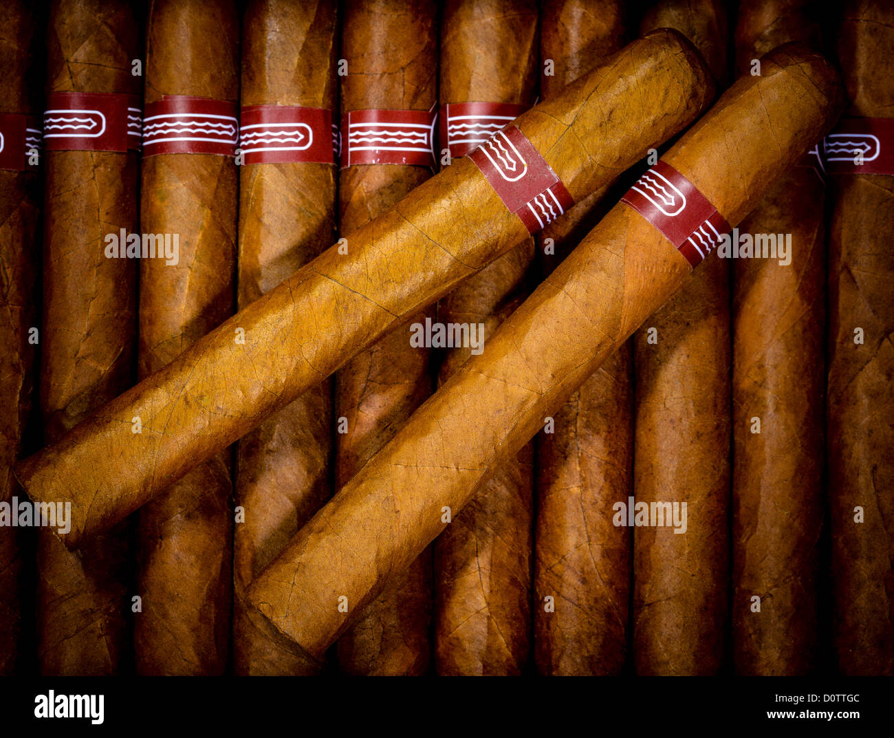 background cigars in humidor Stock Photo - Alamy