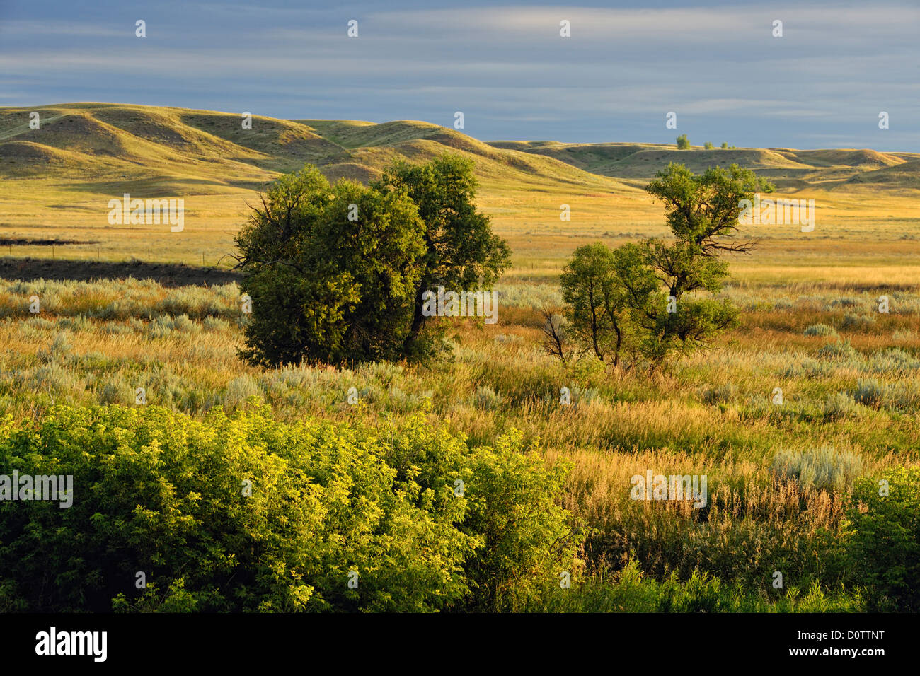 North america shallow valley hi-res stock photography and images - Alamy