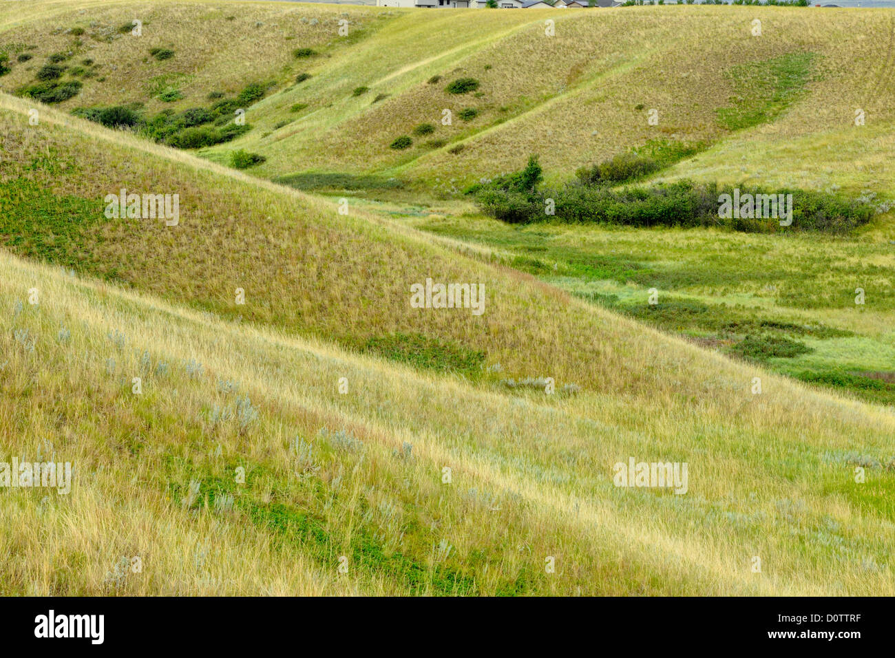 Coulee coulees landscape hi-res stock photography and images - Alamy