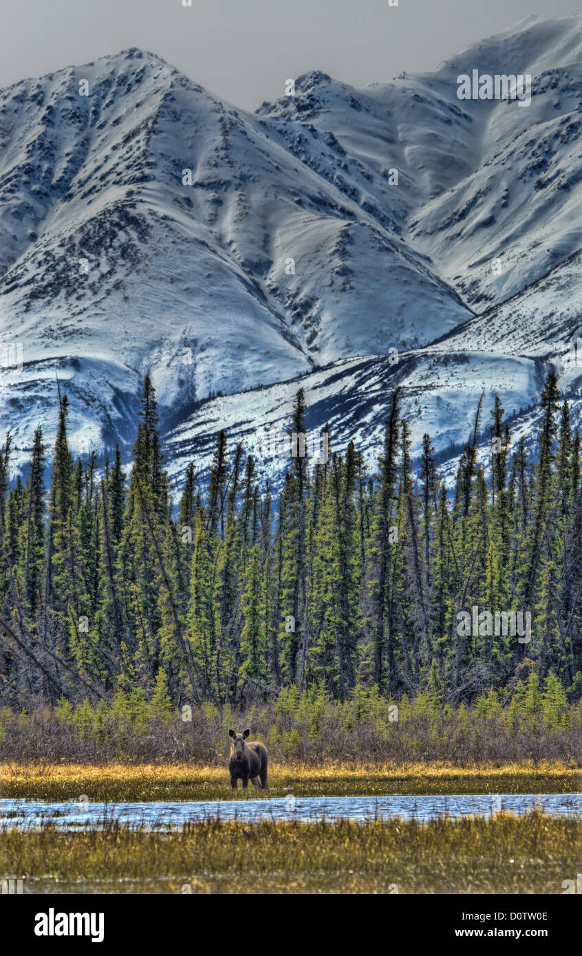 America landscape hi-res stock photography and images - Alamy