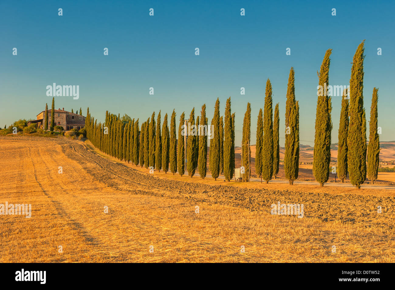 typical tuscan landscape Stock Photo - Alamy