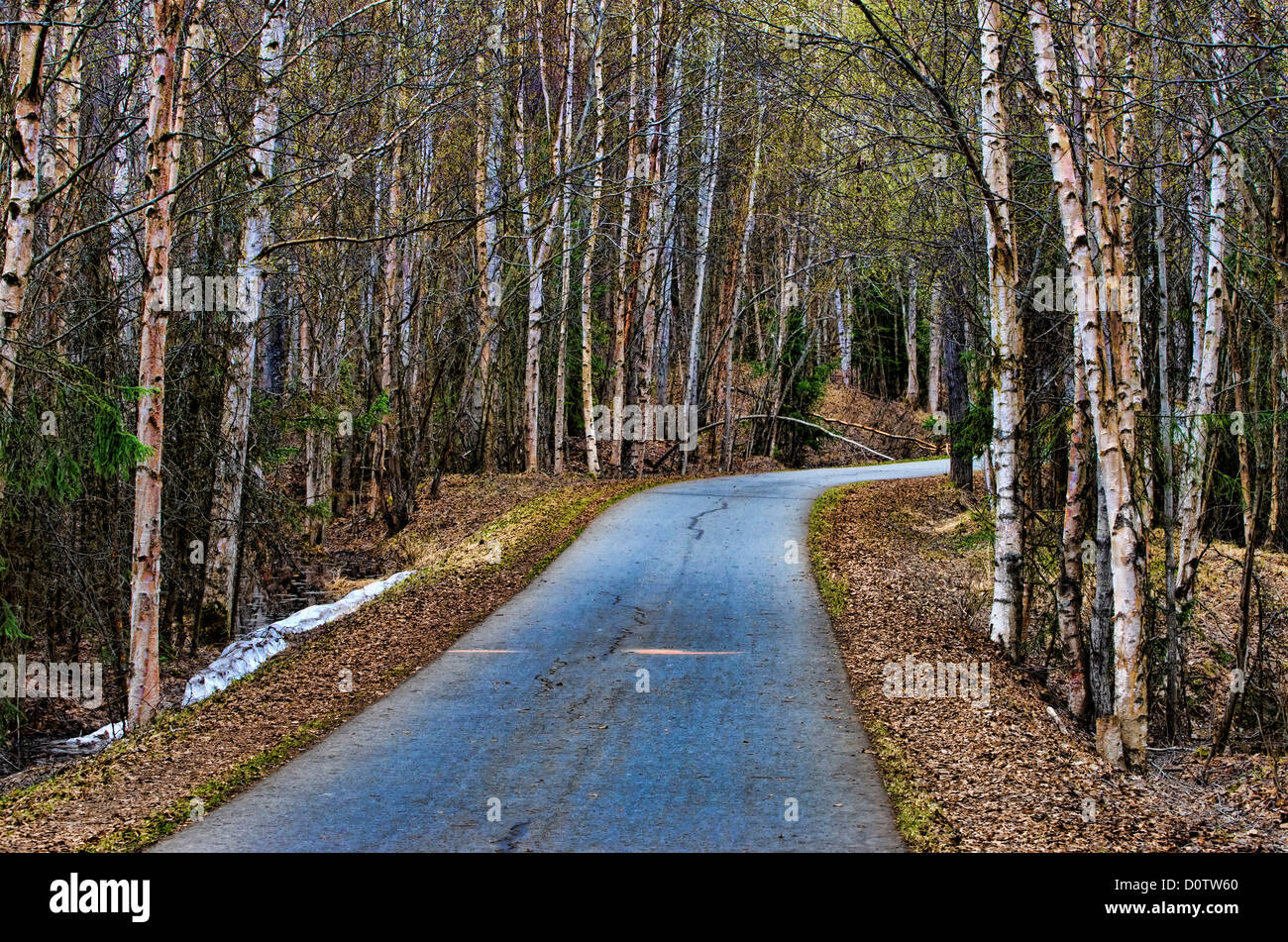 anchorage coastal trail, Alaska, USA, United States, America, road ...