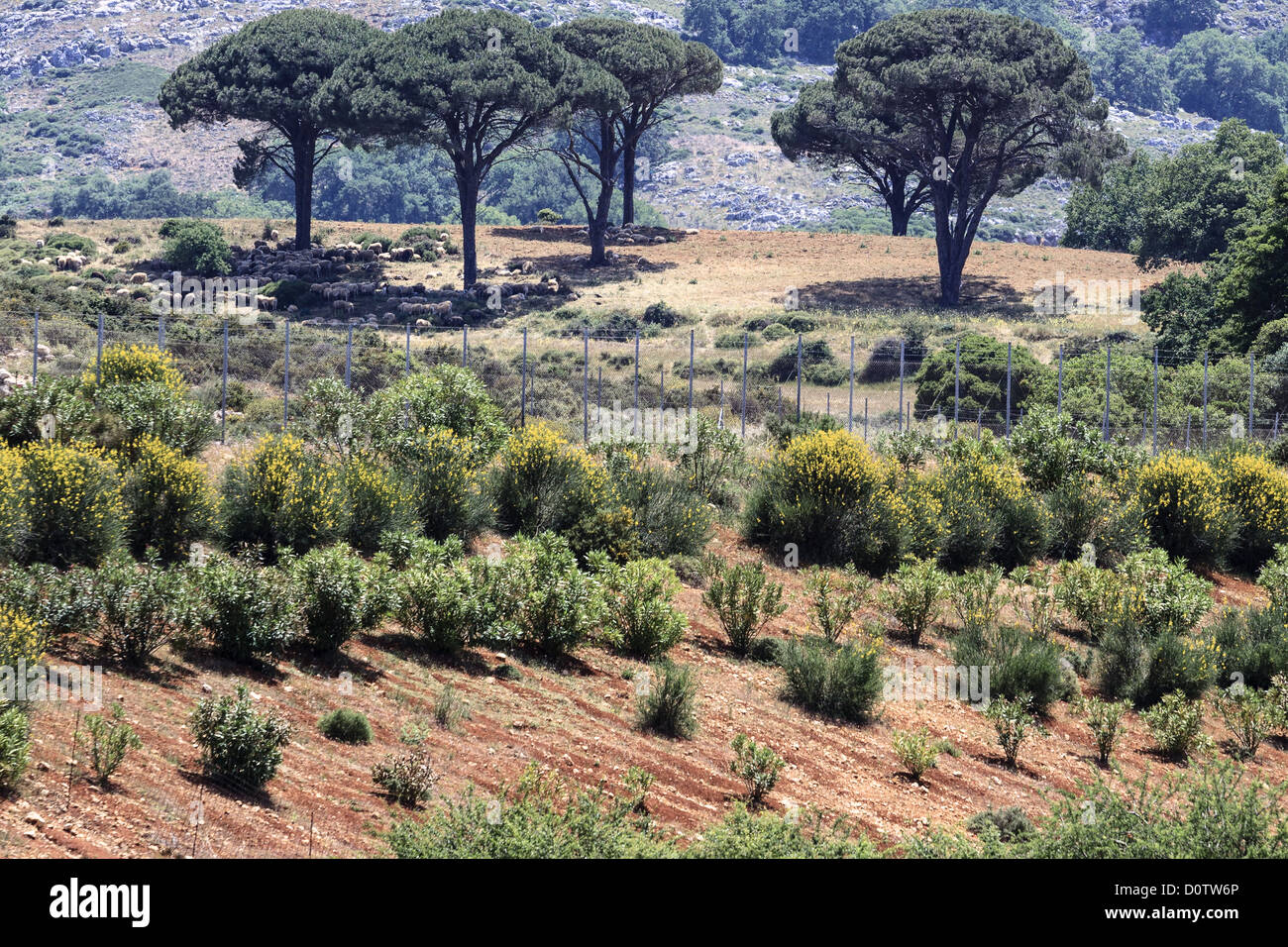 Arkadios Farming Landscape Crete Greece Stock Photo - Alamy