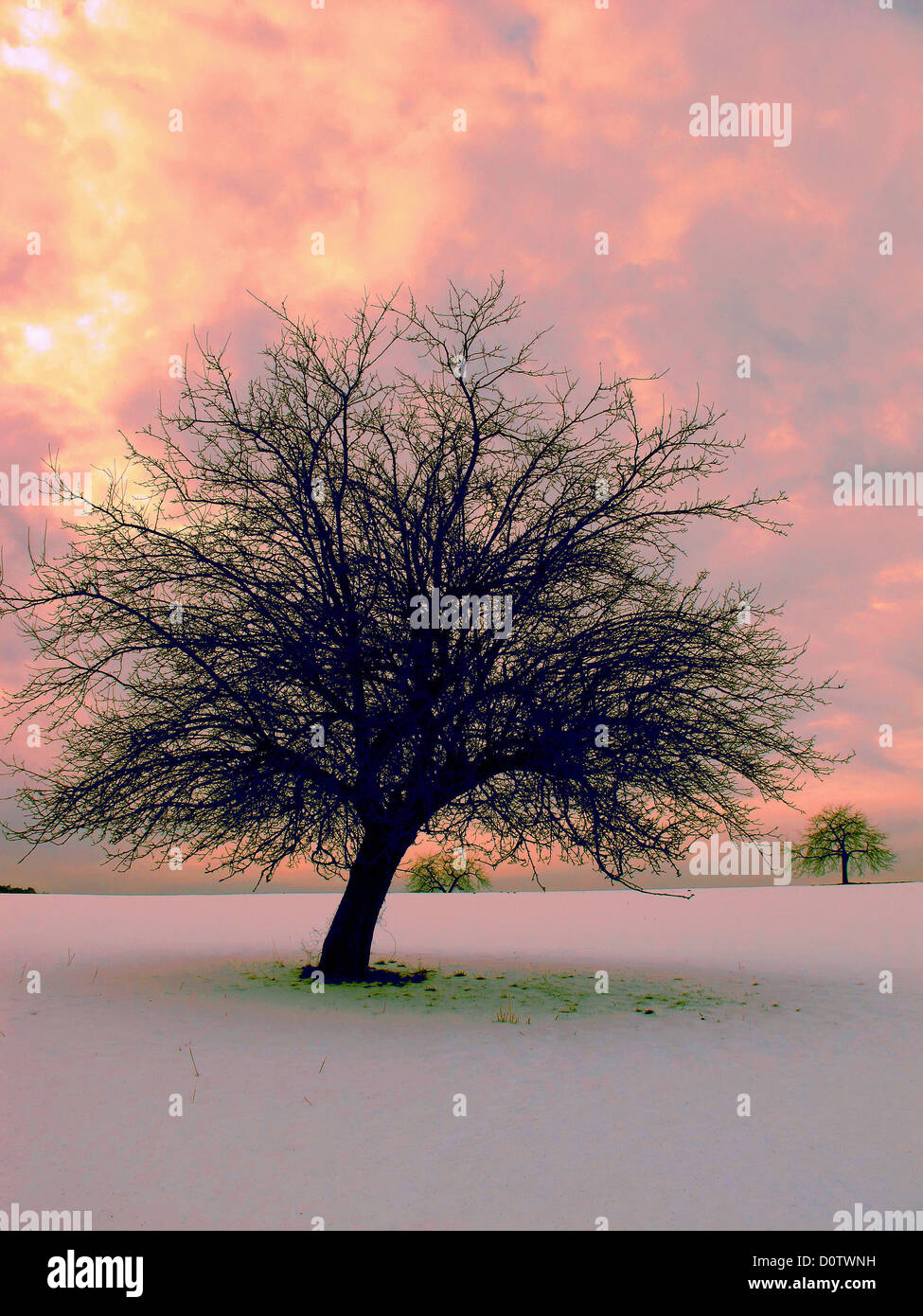 Cold scenery hi-res stock photography and images - Alamy
