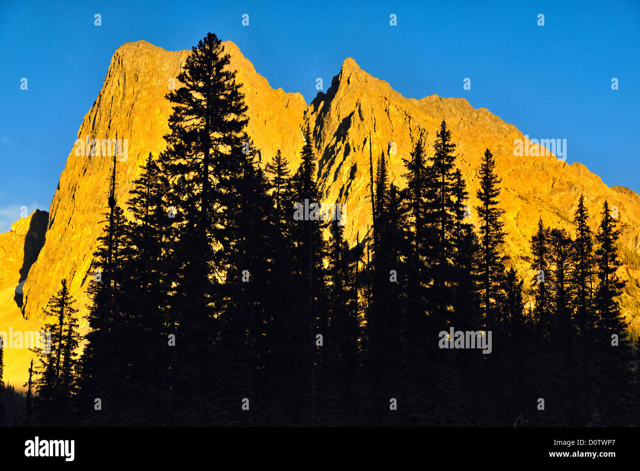 Evening Light on Wapta Mountain above Emerald lake, Yoho National Park ...
