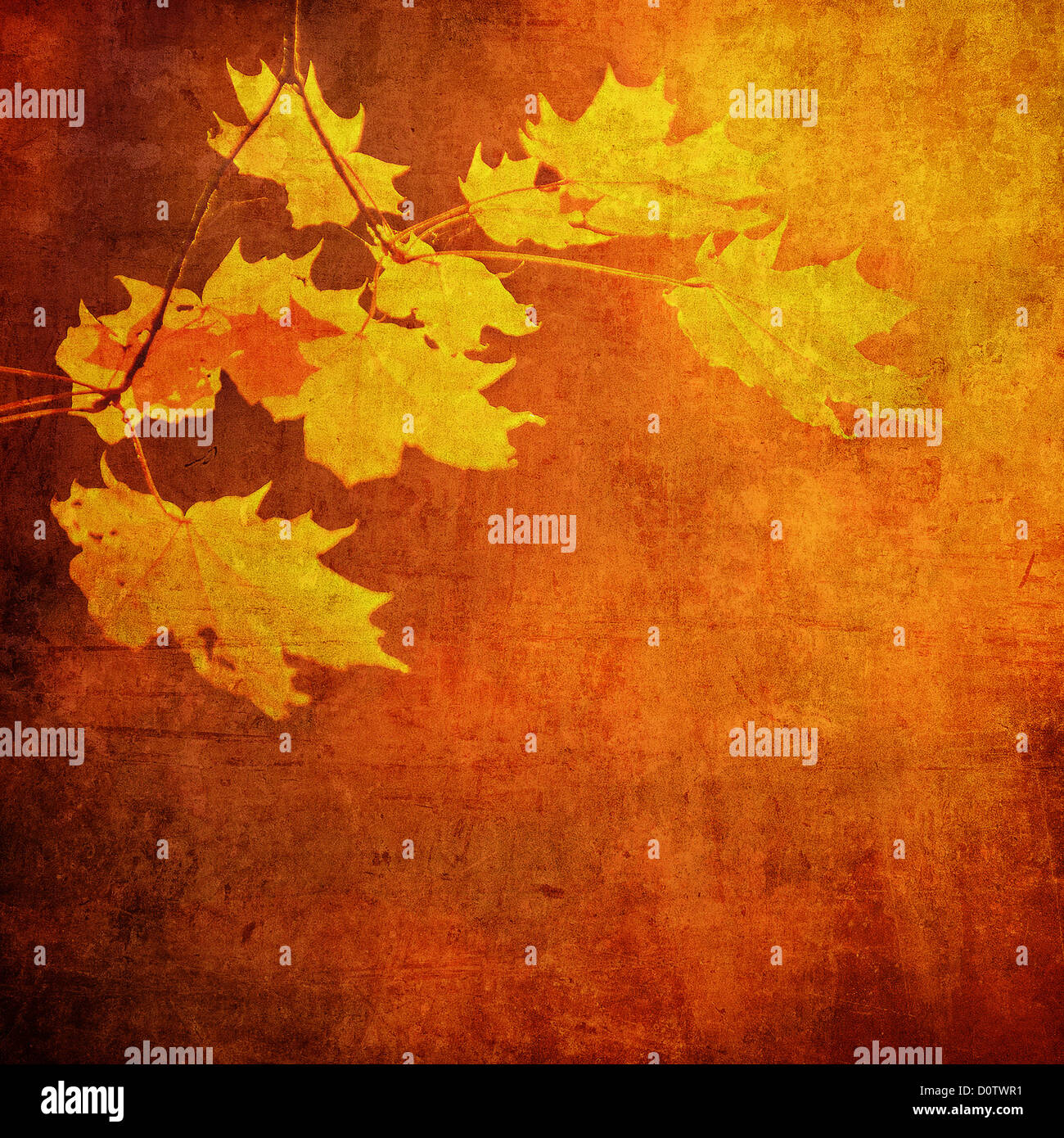 grunge background with autumn leaves Stock Photo - Alamy