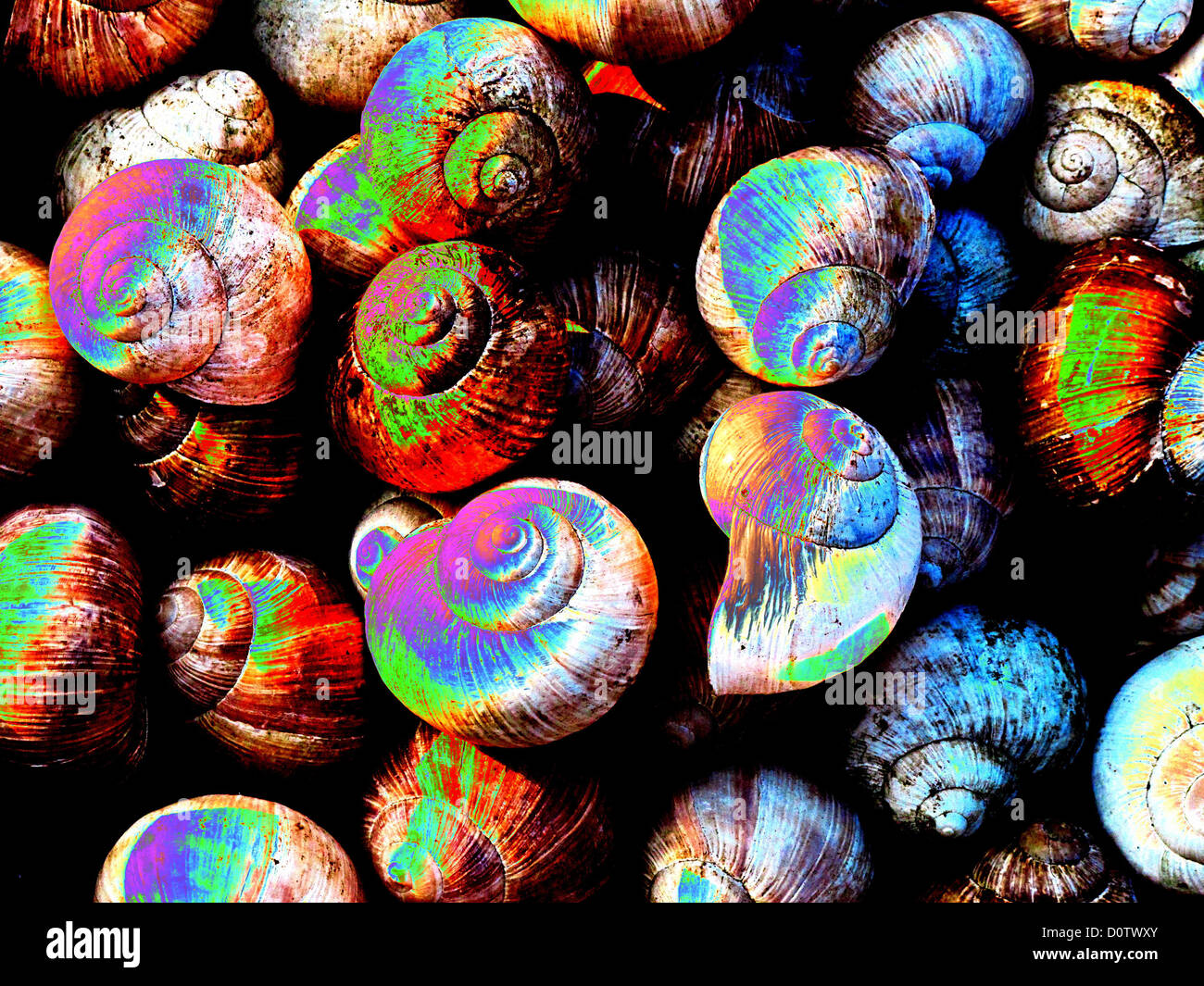 House of snails hi-res stock photography and images - Alamy