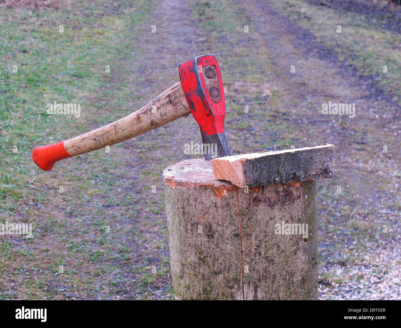 Minced meat floor hi-res stock photography and images - Alamy