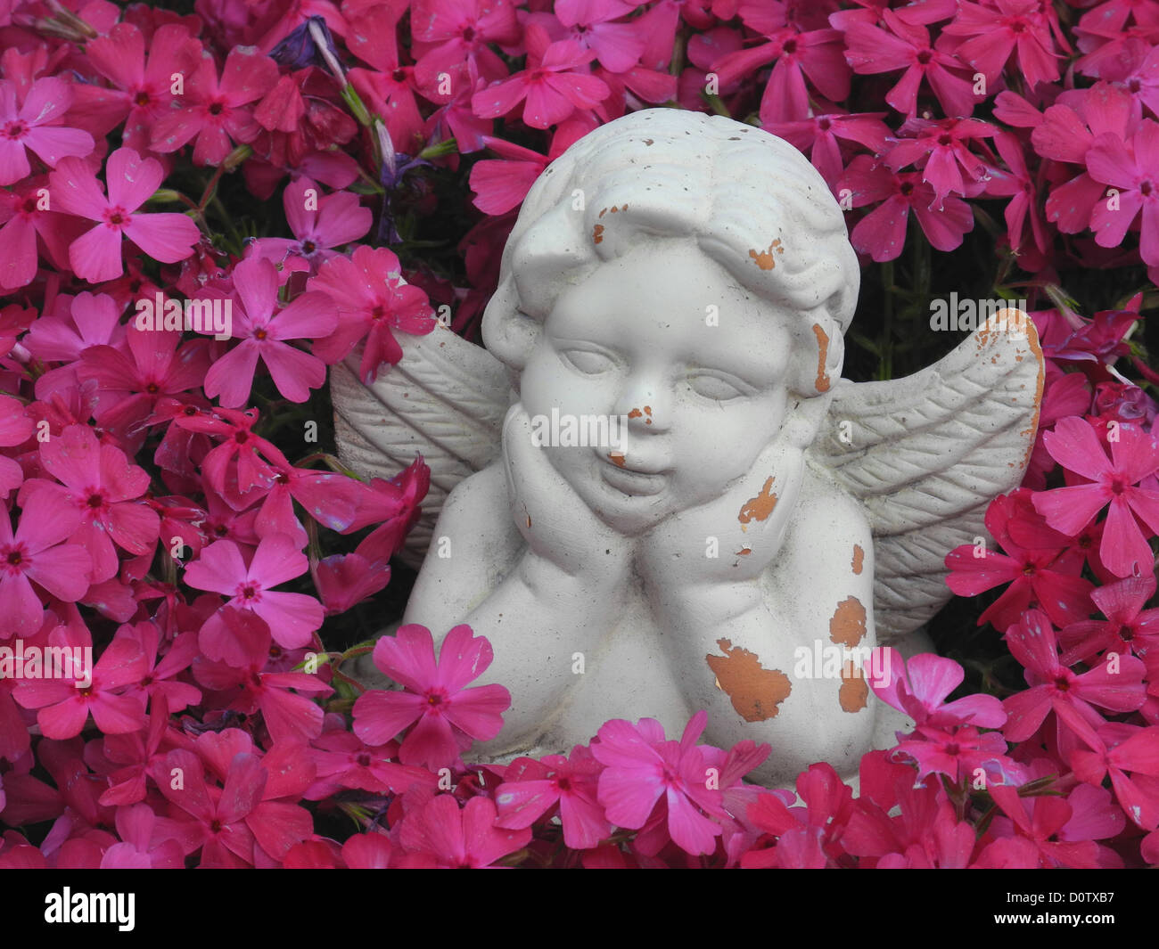 Angel, stone, child, look, glance, angel's look, flowers, plants ...