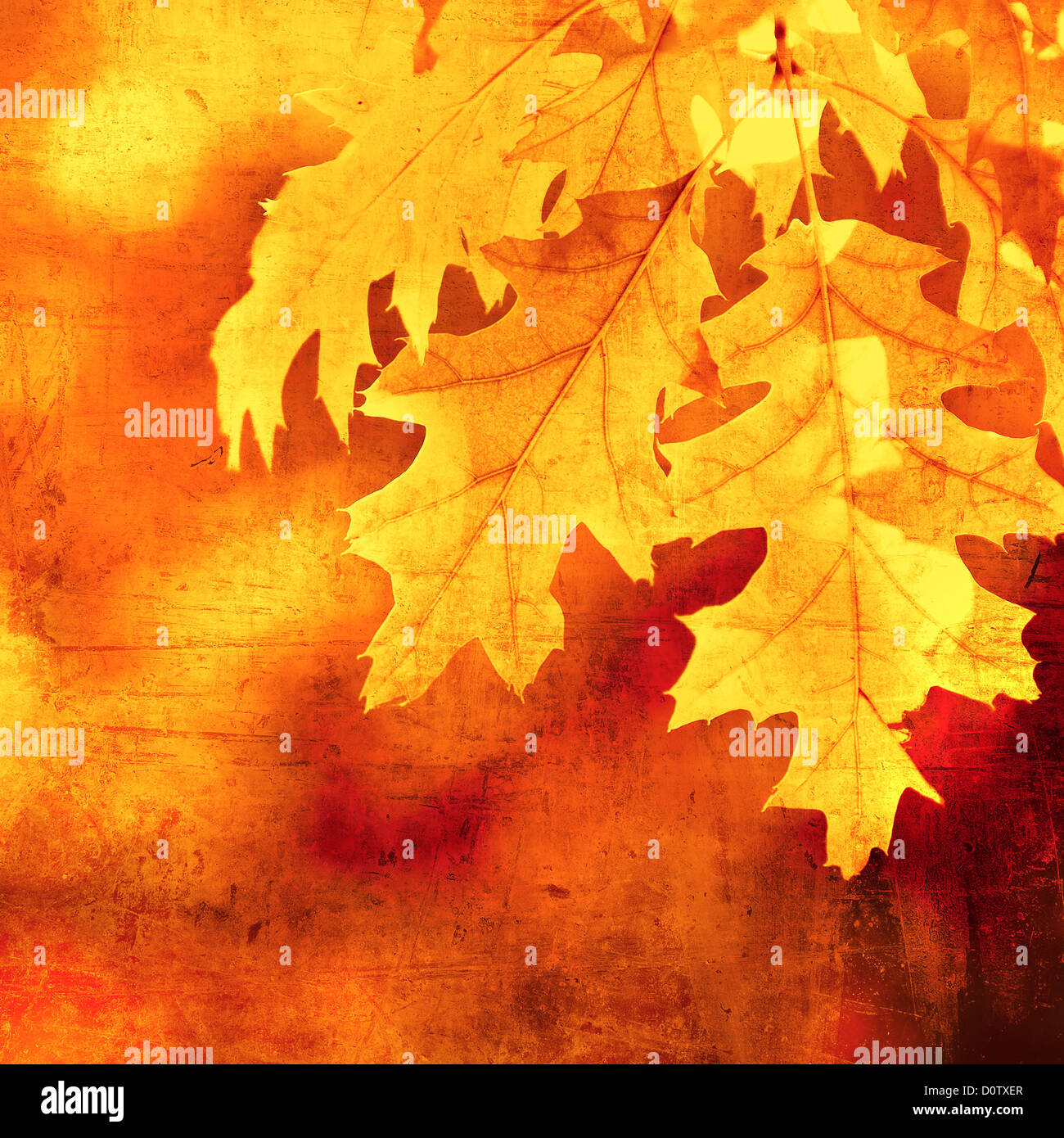 grunge background with autumn leaves Stock Photo - Alamy
