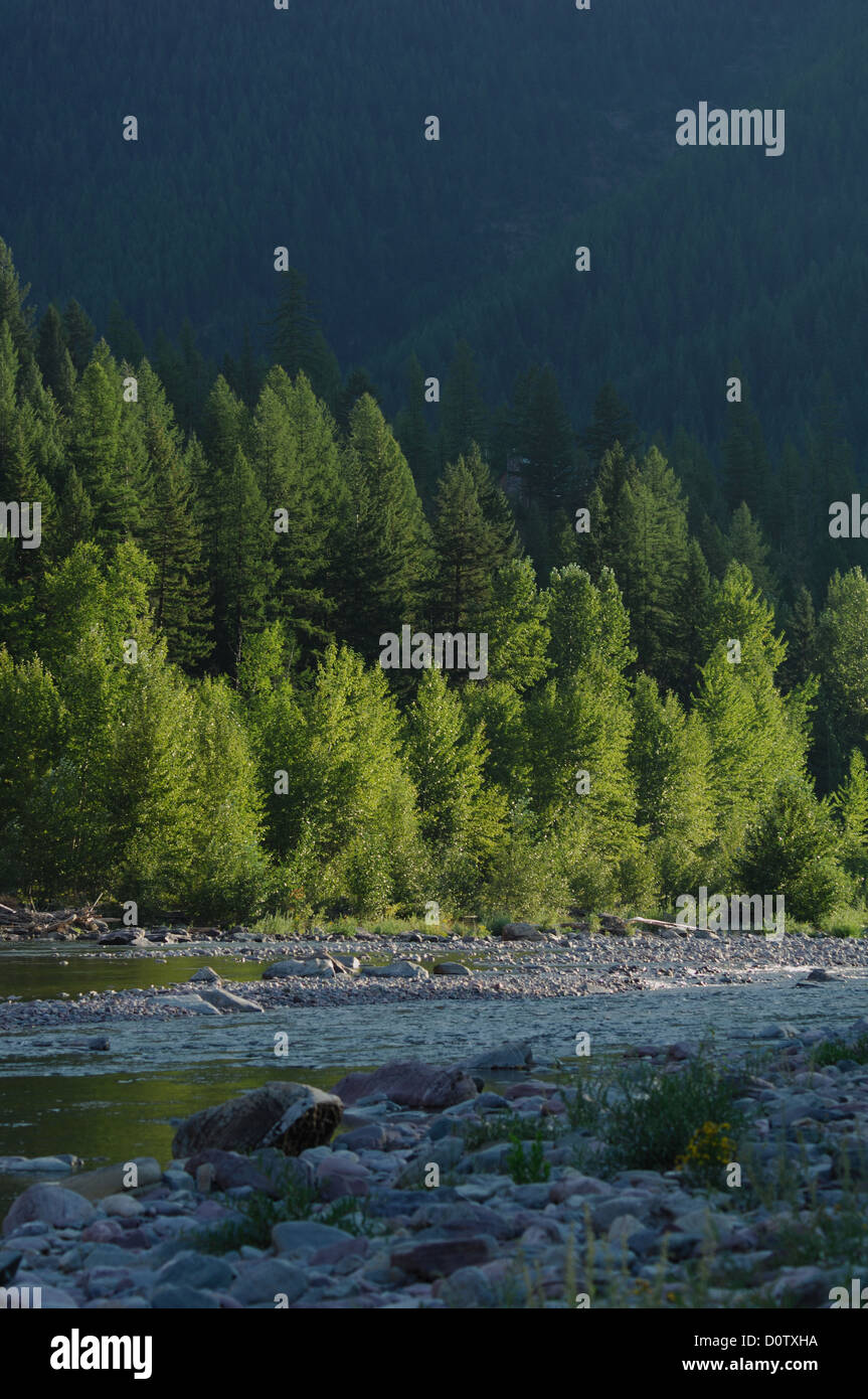 Flathead river hi-res stock photography and images - Alamy