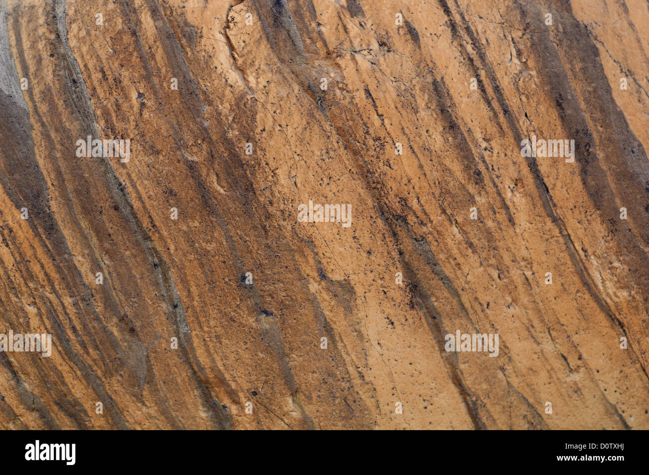 Rock texture and patterns in Glacier National Park Montana Stock Photo ...