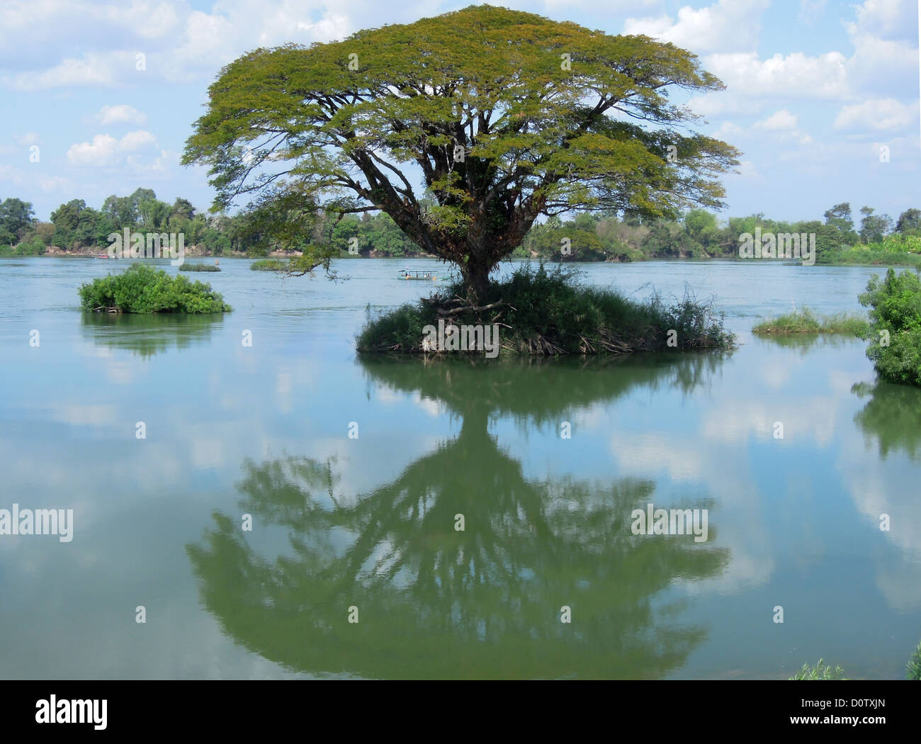 Laos, Asia, Don Det, Mekong, river, flow, tree, 4000 islands, isles ...