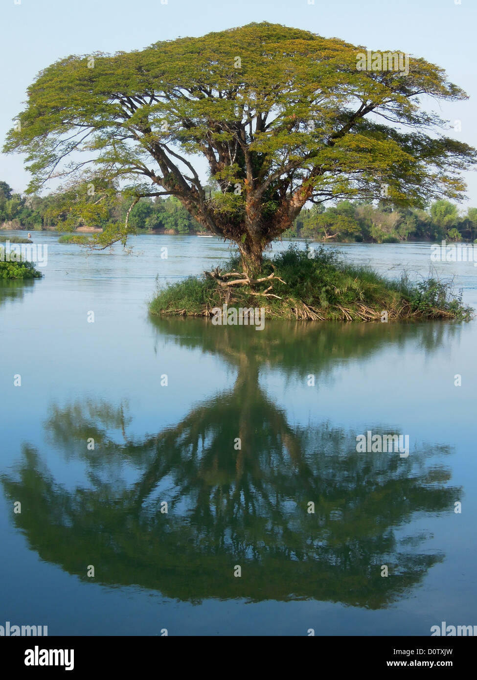Laos, Asia, Don Det, Mekong, river, flow, tree, 4000 islands, isles ...