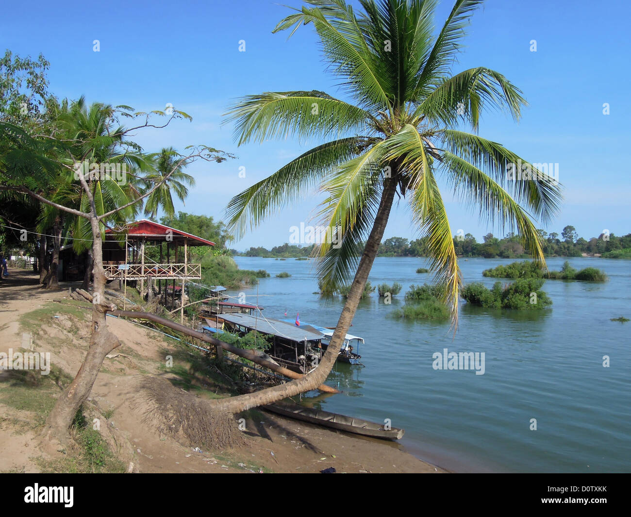 Laos, Asia, Don Det, Mekong, river, flow, tree, 4000 islands, isles ...