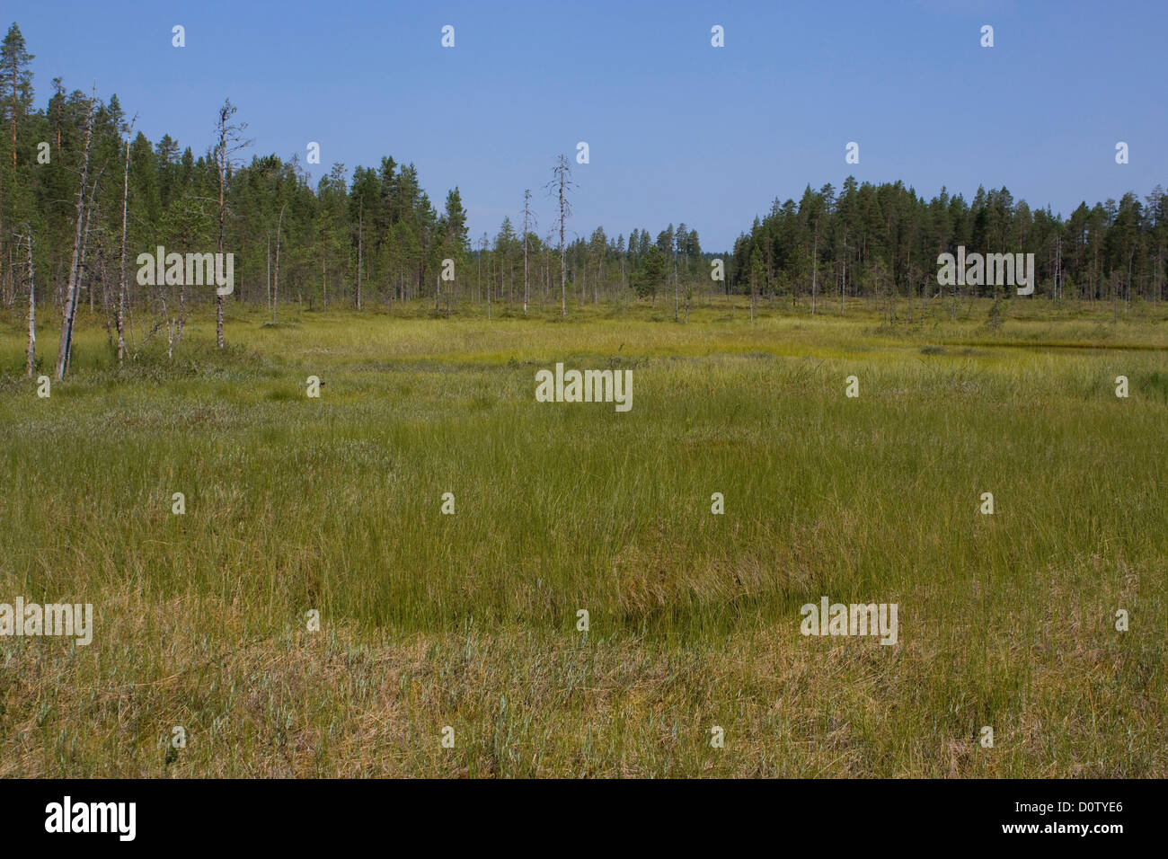 Scandinavia, Finland, north, Europe, Northern Europe, country, travel ...