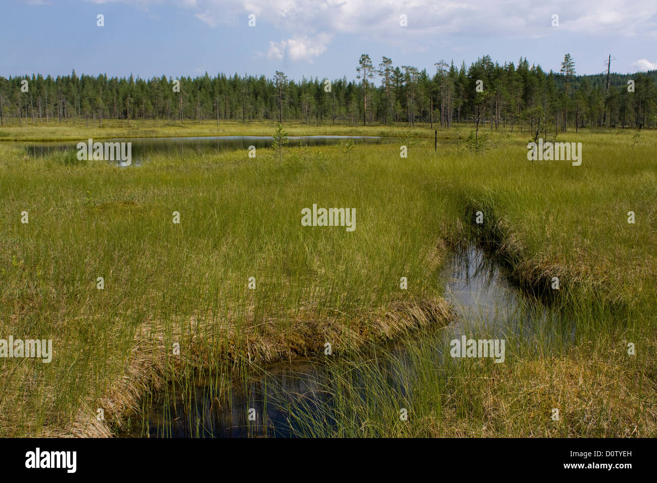 Scandinavia, Finland, north, Europe, Northern Europe, country, travel ...