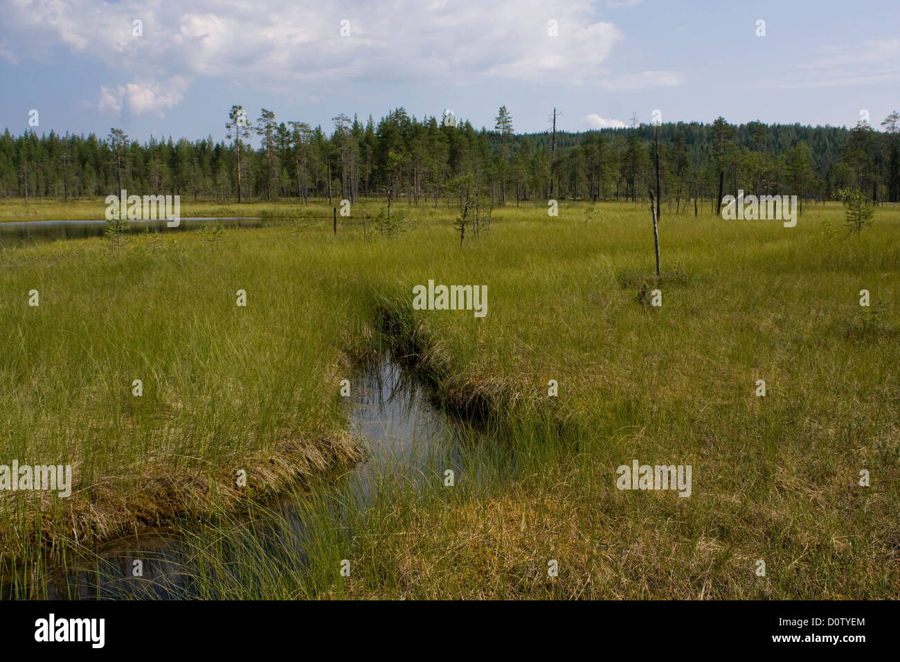 Scandinavia, Finland, north, Europe, Northern Europe, country, travel ...