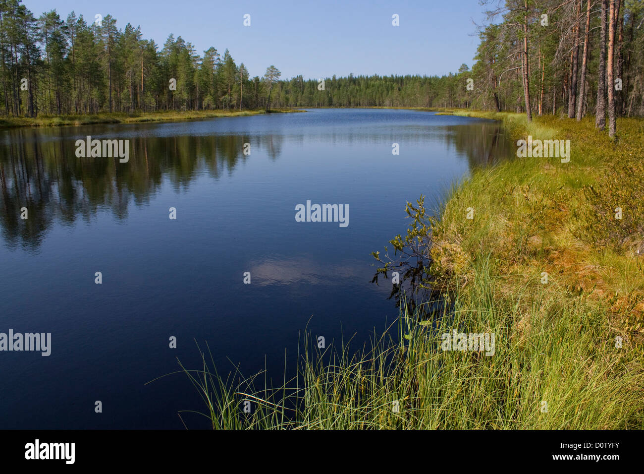 Scandinavia, Finland, north, Europe, Northern Europe, country, travel ...