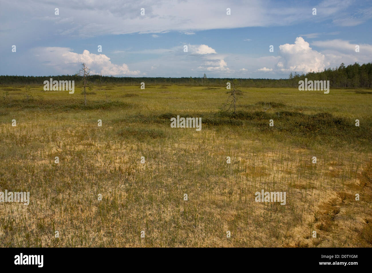 Scandinavia, Finland, north, Europe, Northern Europe, country, travel ...