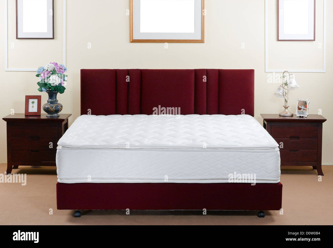 Photo frame flower vase anatomy hi-res stock photography and images - Alamy