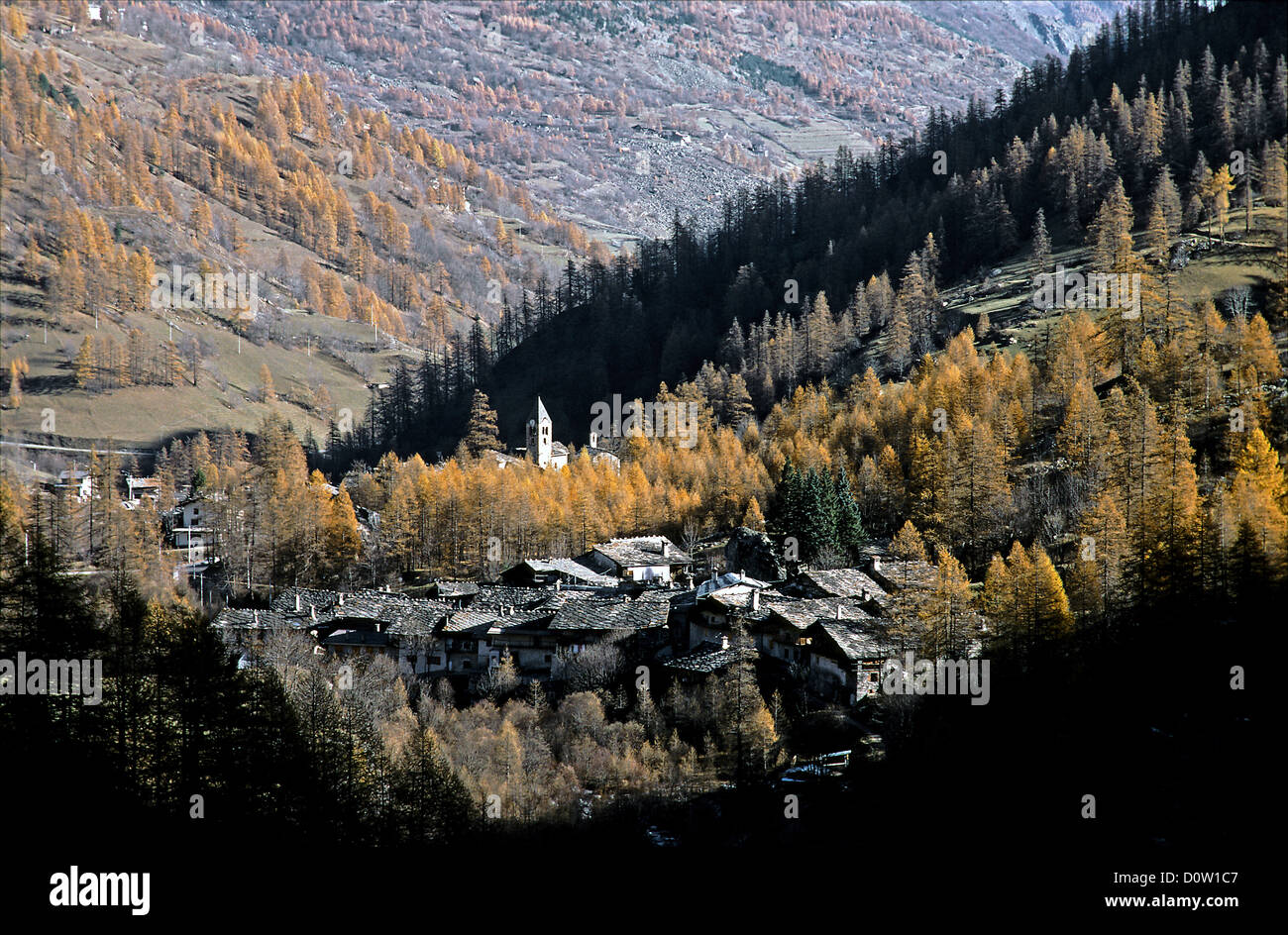 Italy, Europe, Cuneo, Piemont, Bellino, Bellino Chiesa, wood, forest ...