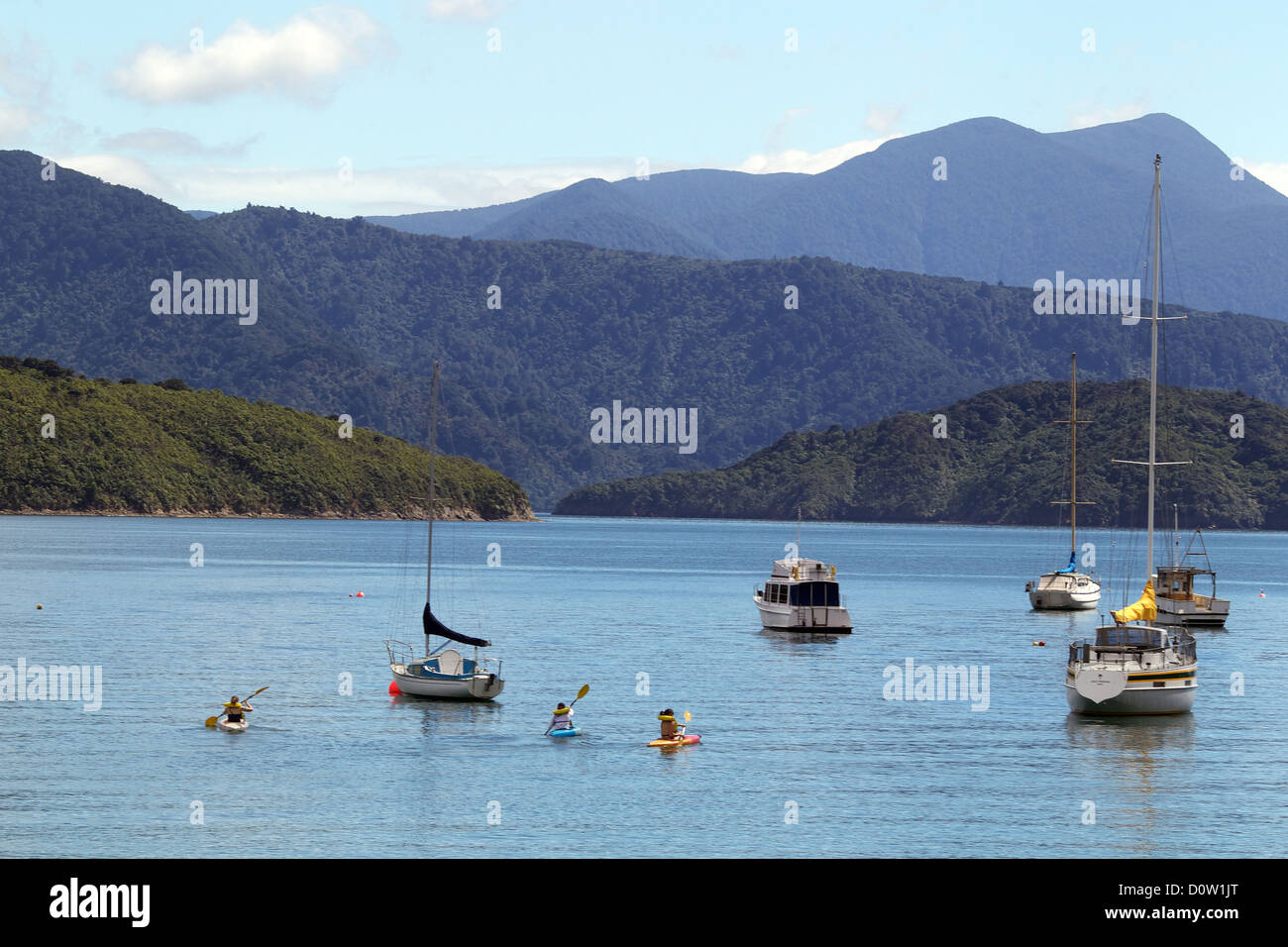 Kayakers on the water in Waikawa Bay on the Marlborough Sounds at the ...