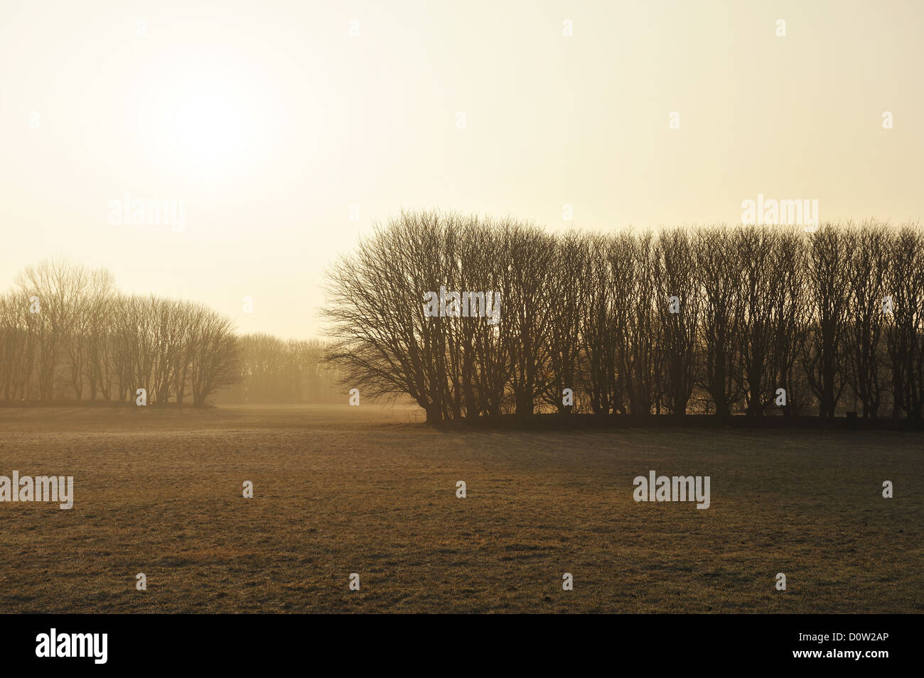 Early morning landscape Stock Photo - Alamy