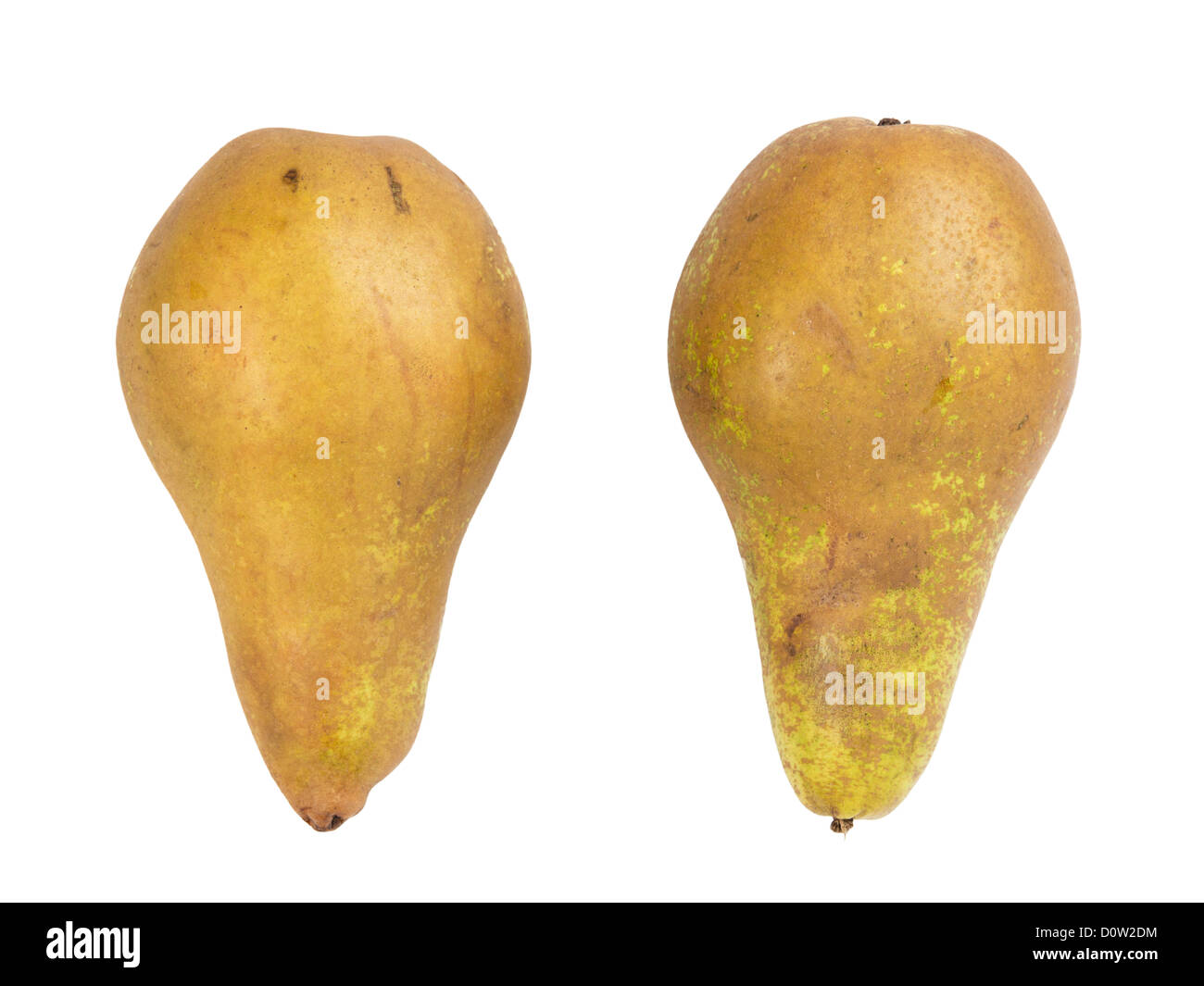 two fresh pears isolated on white background Stock Photo - Alamy