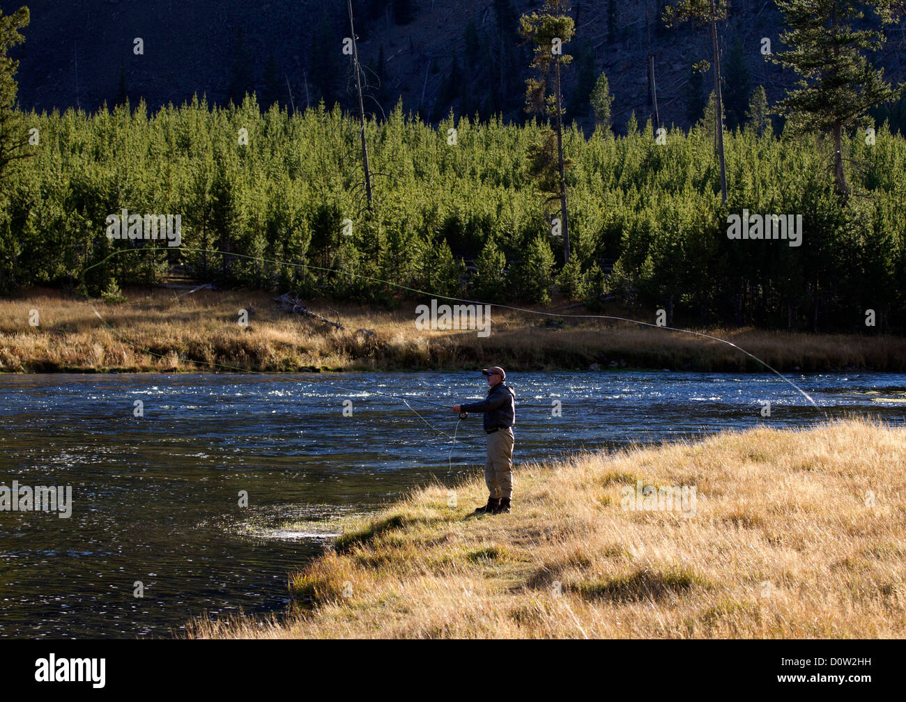 Fly fishing in yellowstone hi-res stock photography and images - Alamy