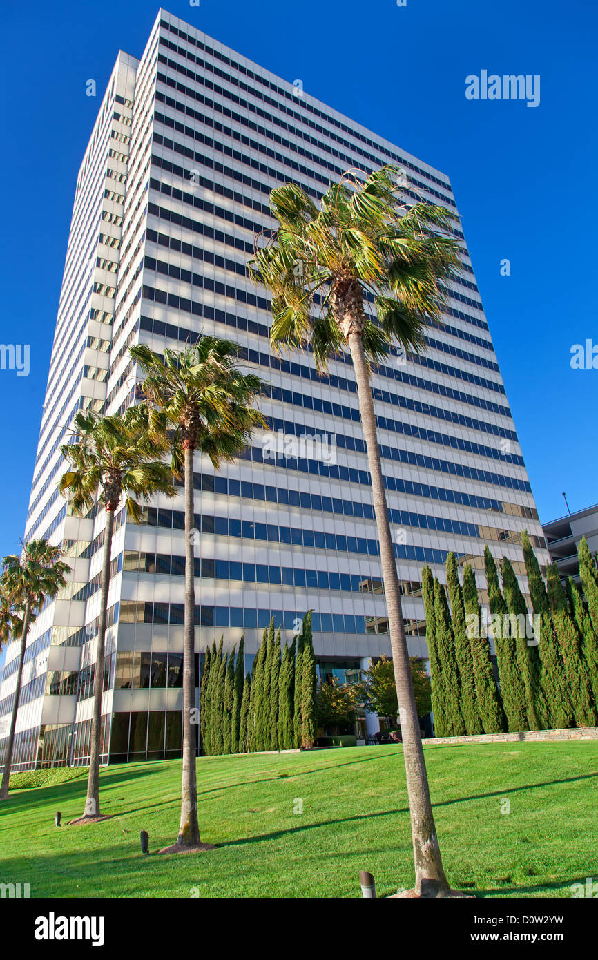 Palms structure hi-res stock photography and images - Alamy