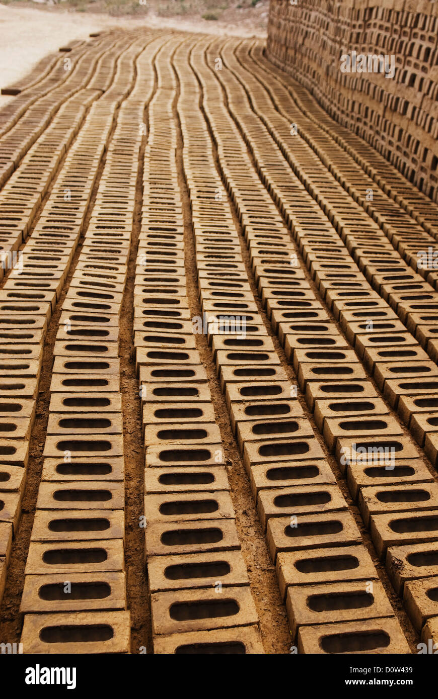 Bricks drying in a brick factory, Sohna, Gurgaon, Haryana, India Stock ...