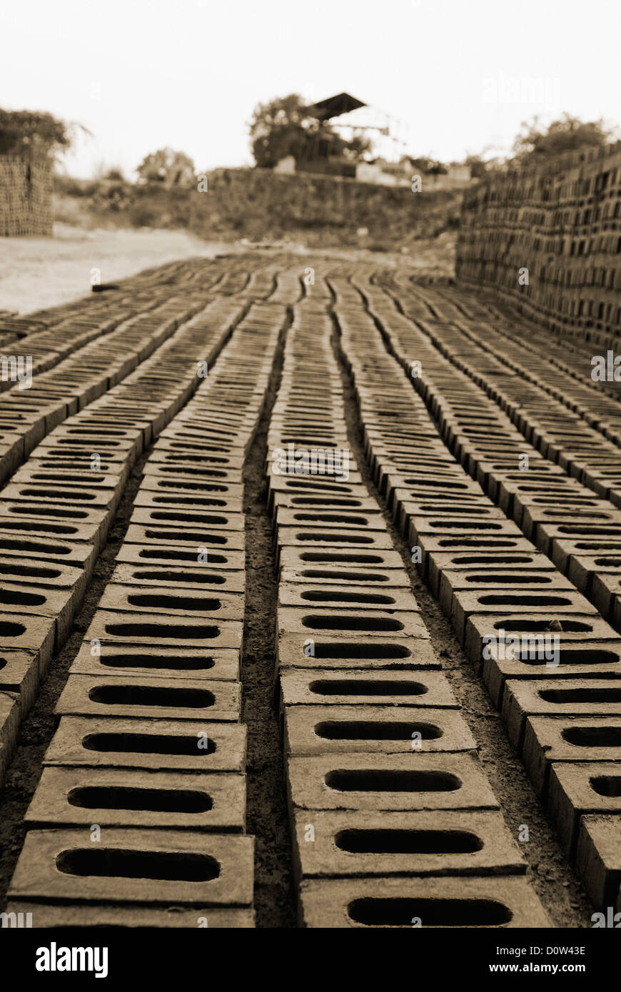 Bricks drying in a brick factory, Sohna, Gurgaon, Haryana, India Stock ...