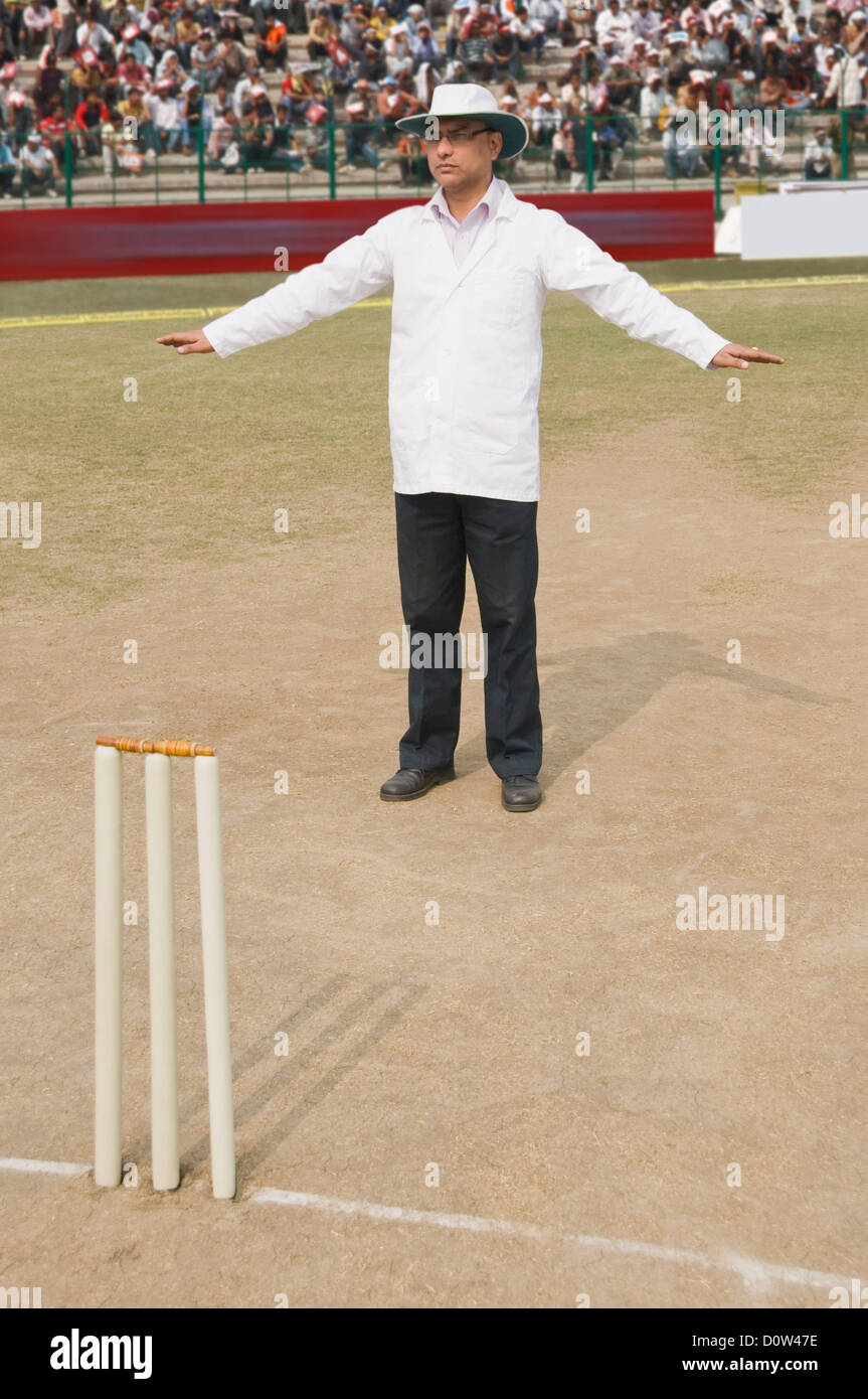 Cricket full length wide hi-res stock photography and images - Alamy