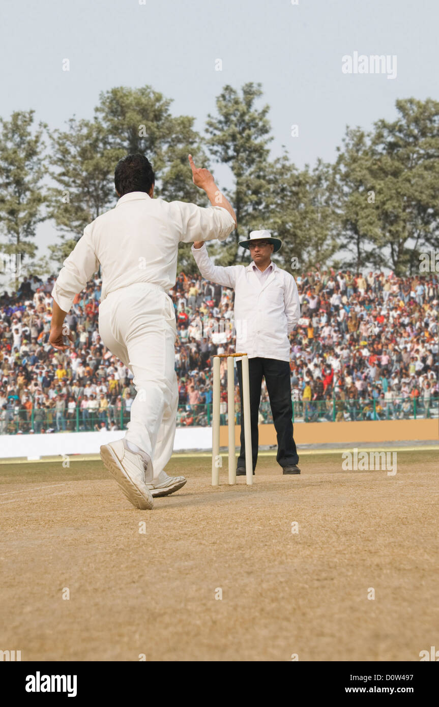 Cricket bowler appealing for a wicket Stock Photo - Alamy