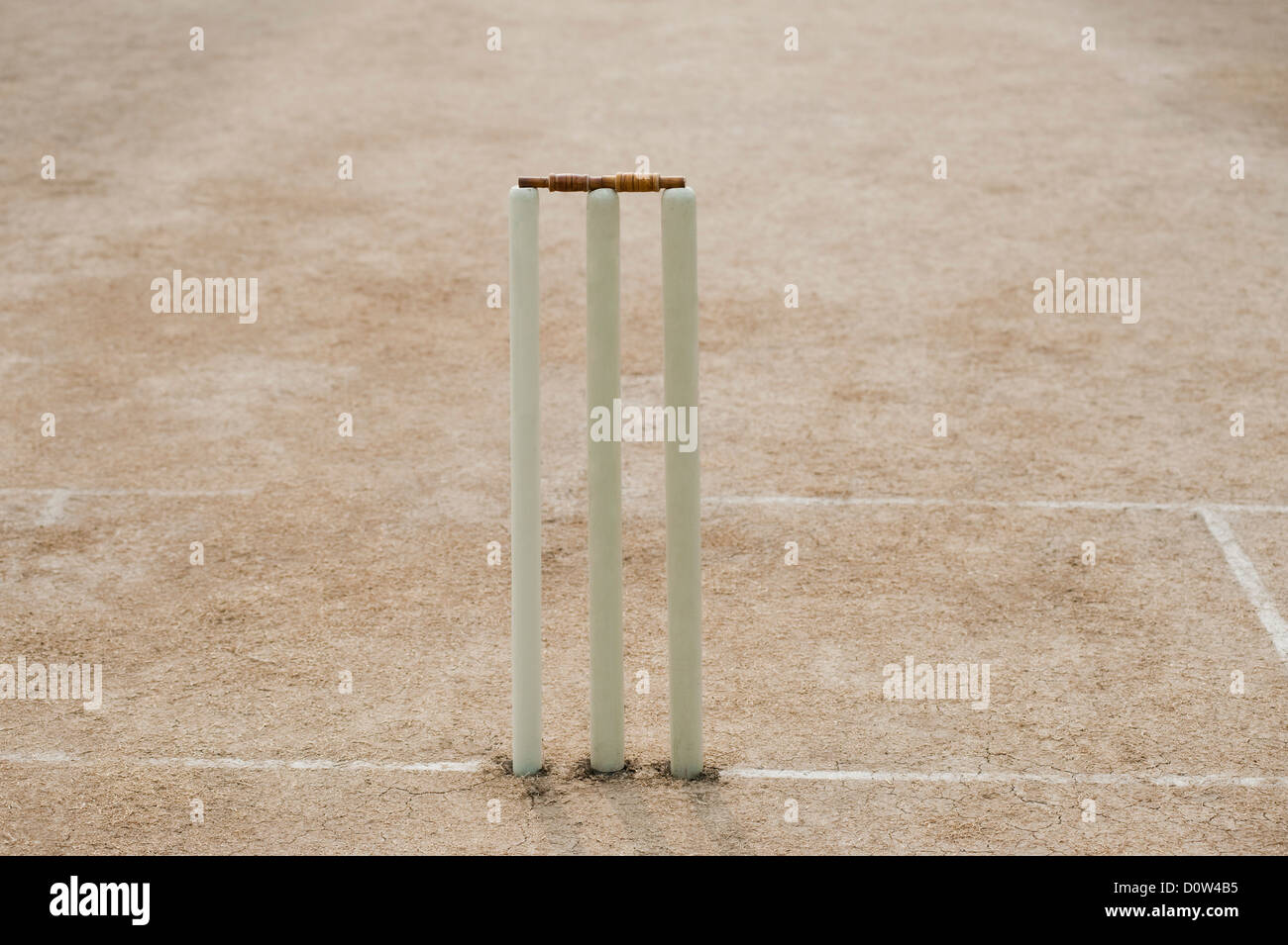 Cricket stumps on the playing field Stock Photo - Alamy