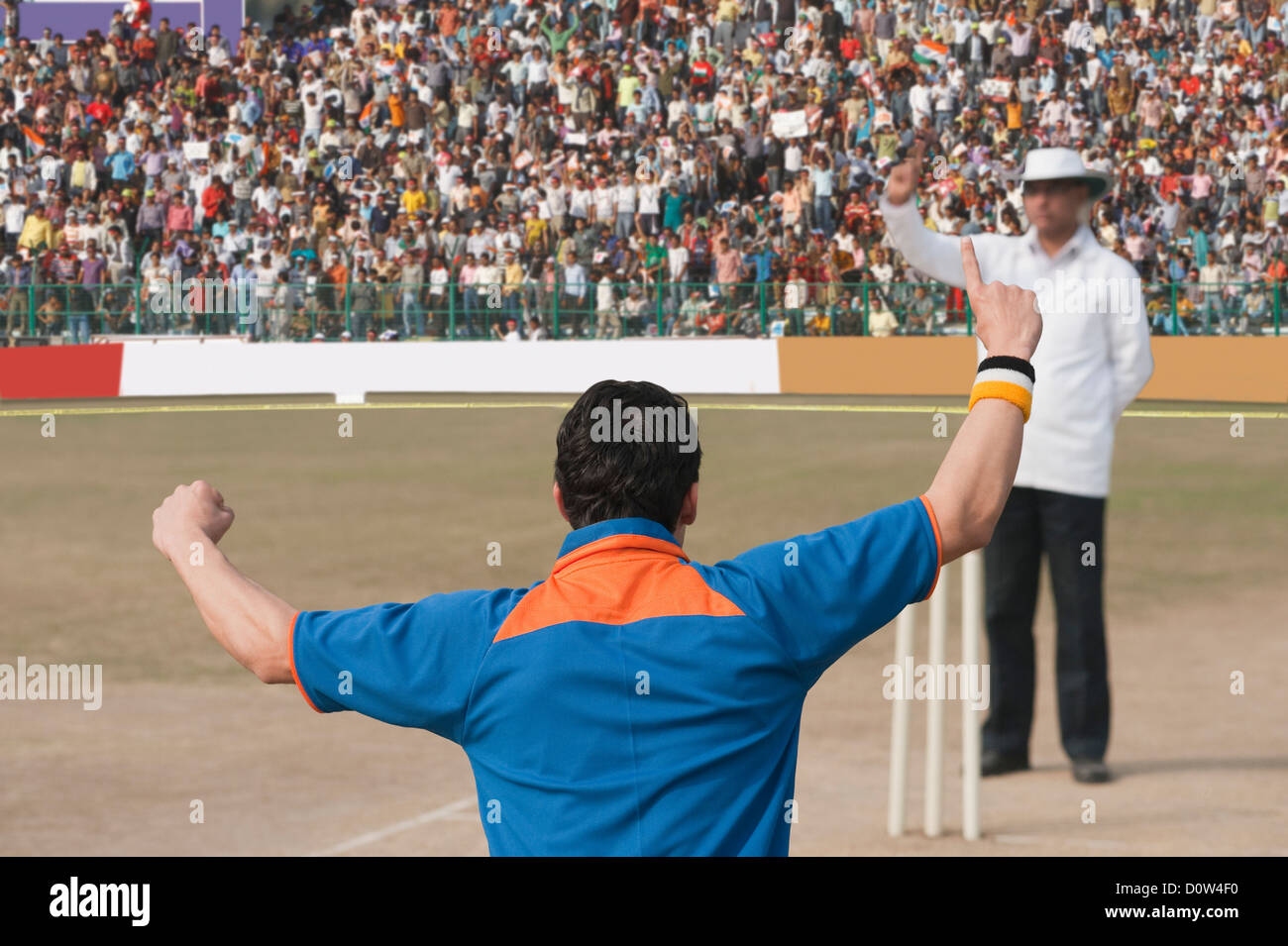 Cricket bowler appealing for a wicket Stock Photo - Alamy