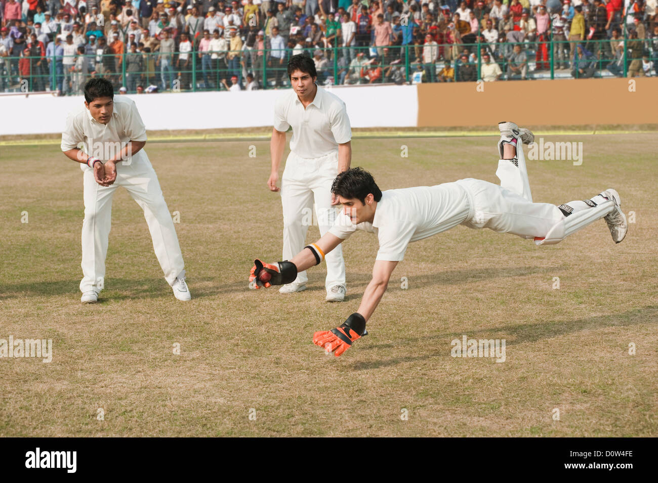 Cricket fielder diving hi-res stock photography and images - Alamy