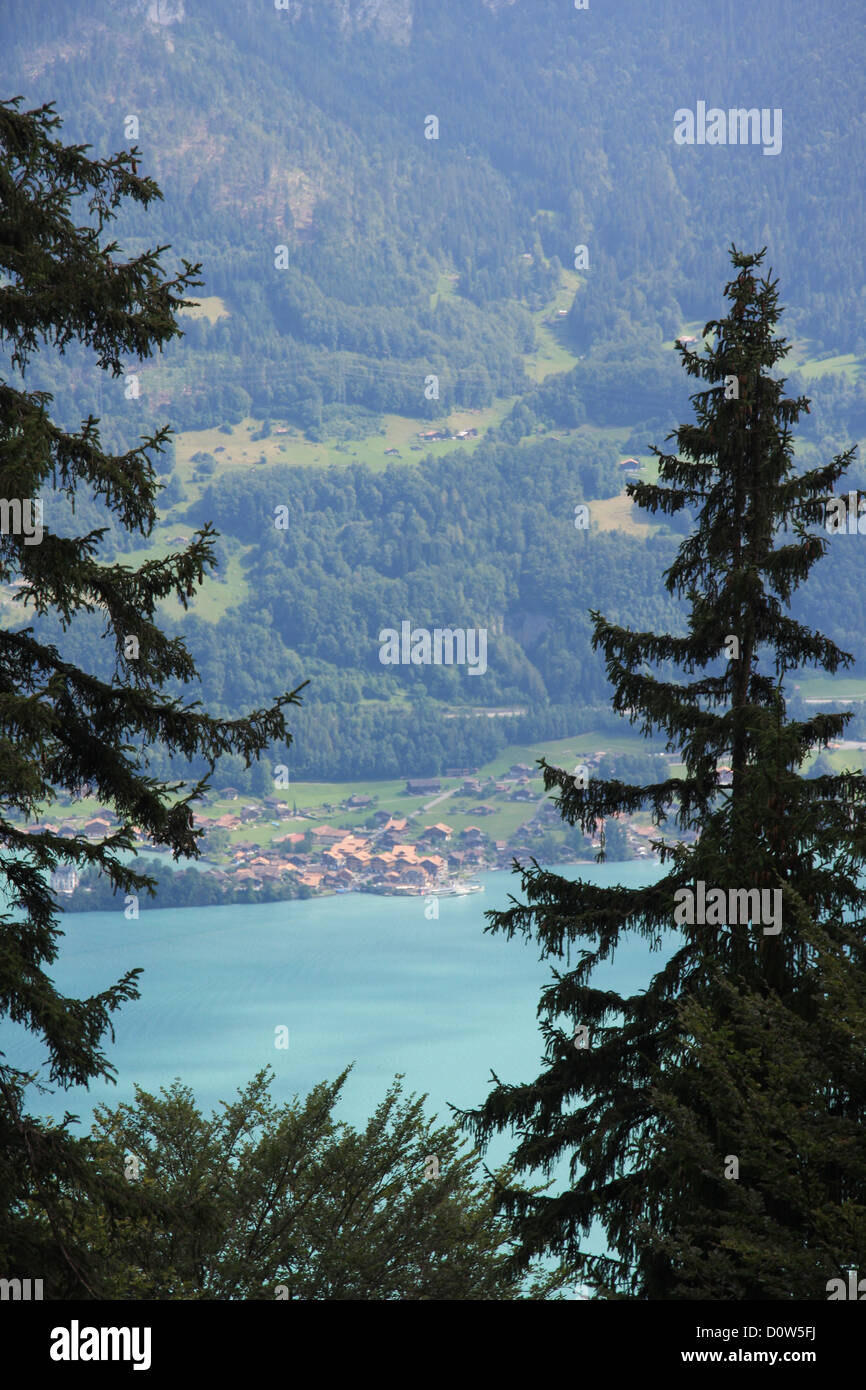 Switzerland, Europe, canton, Bern, Bernese Oberland, Brienzersee, lake ...