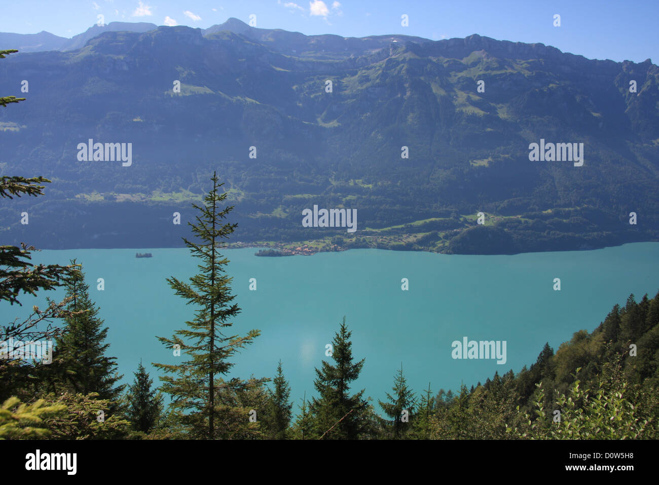 Switzerland, Europe, canton, Bern, Bernese Oberland, Brienzersee, lake ...