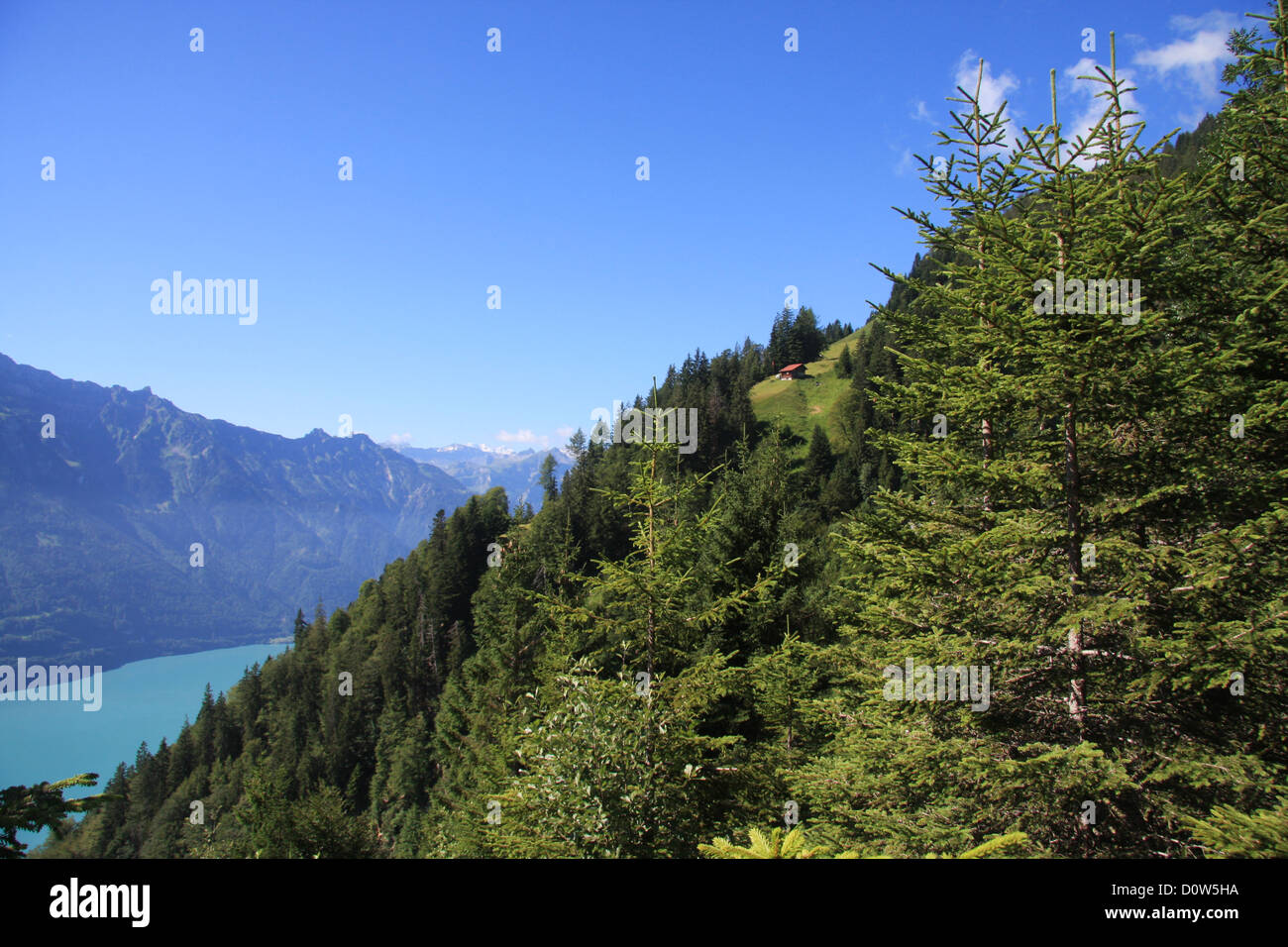 Switzerland, Europe, canton, Bern, Bernese Oberland, Brienzersee, lake ...